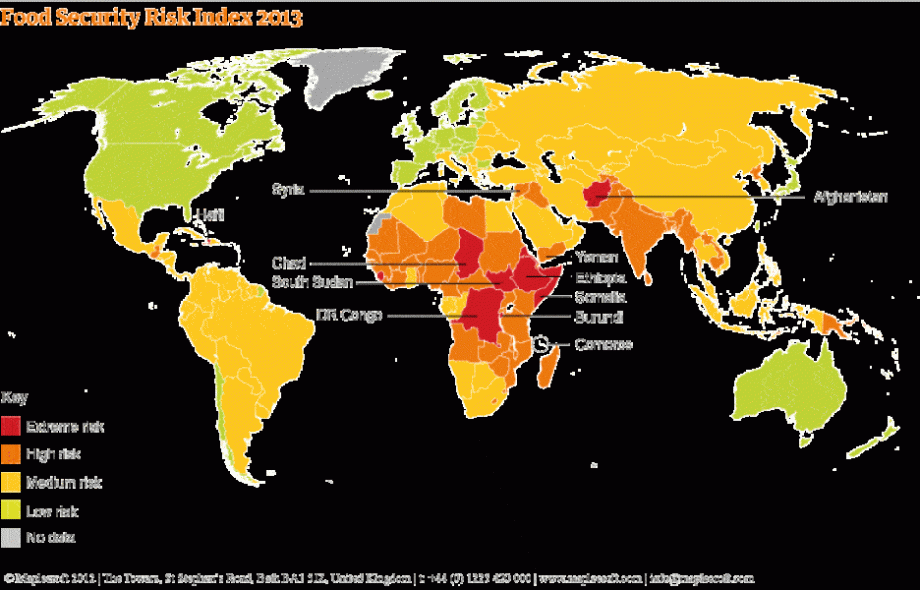 Map—world-food-security-001 | Oromian Economist