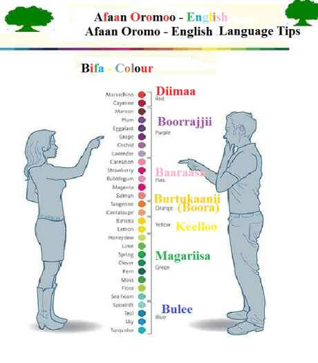 Oromo Literature: Qubee, Walaloo (poems), Mammaaksa, Books and more ...