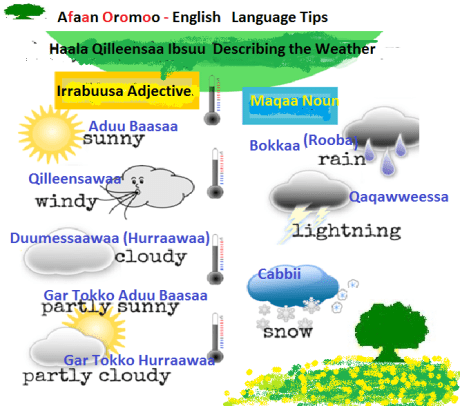 Oromo Literature: Qubee, Walaloo (poems), Mammaaksa, Books and more ...