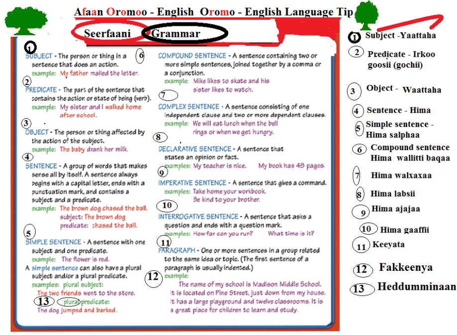 Oromo Literature: Qubee, Walaloo (poems), Mammaaksa, Books and more ...