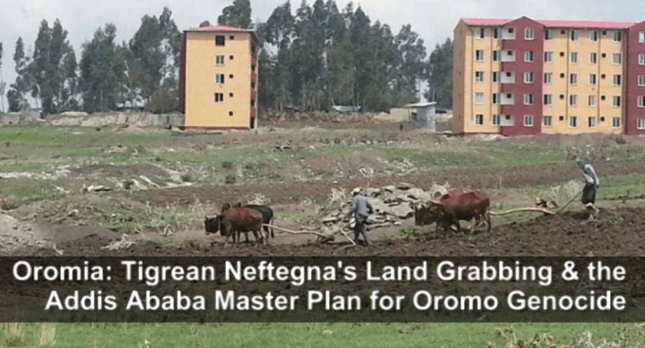 Tigrean Neftengna’s land grabbing and the Addis Ababa Master plan for ...