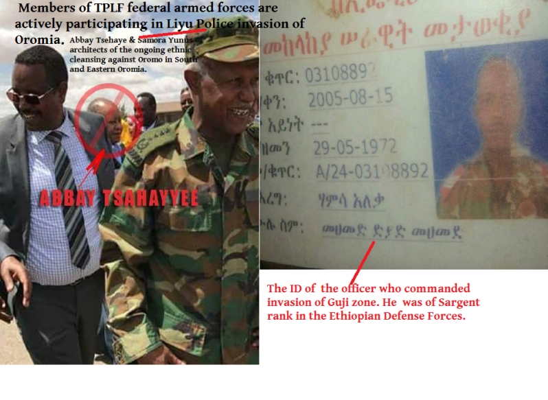 ETHIOPIA: FASCIST TPLF’S PROXY WAR THROUGH THE LIYU POLICE | Oromian ...